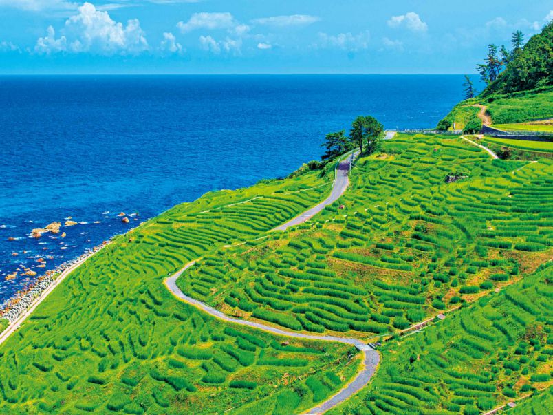 きらきらライステラスにうっとり。1004枚の棚田が連なる石川の「白米千枚田」で深呼吸！｜るるぶ&more.